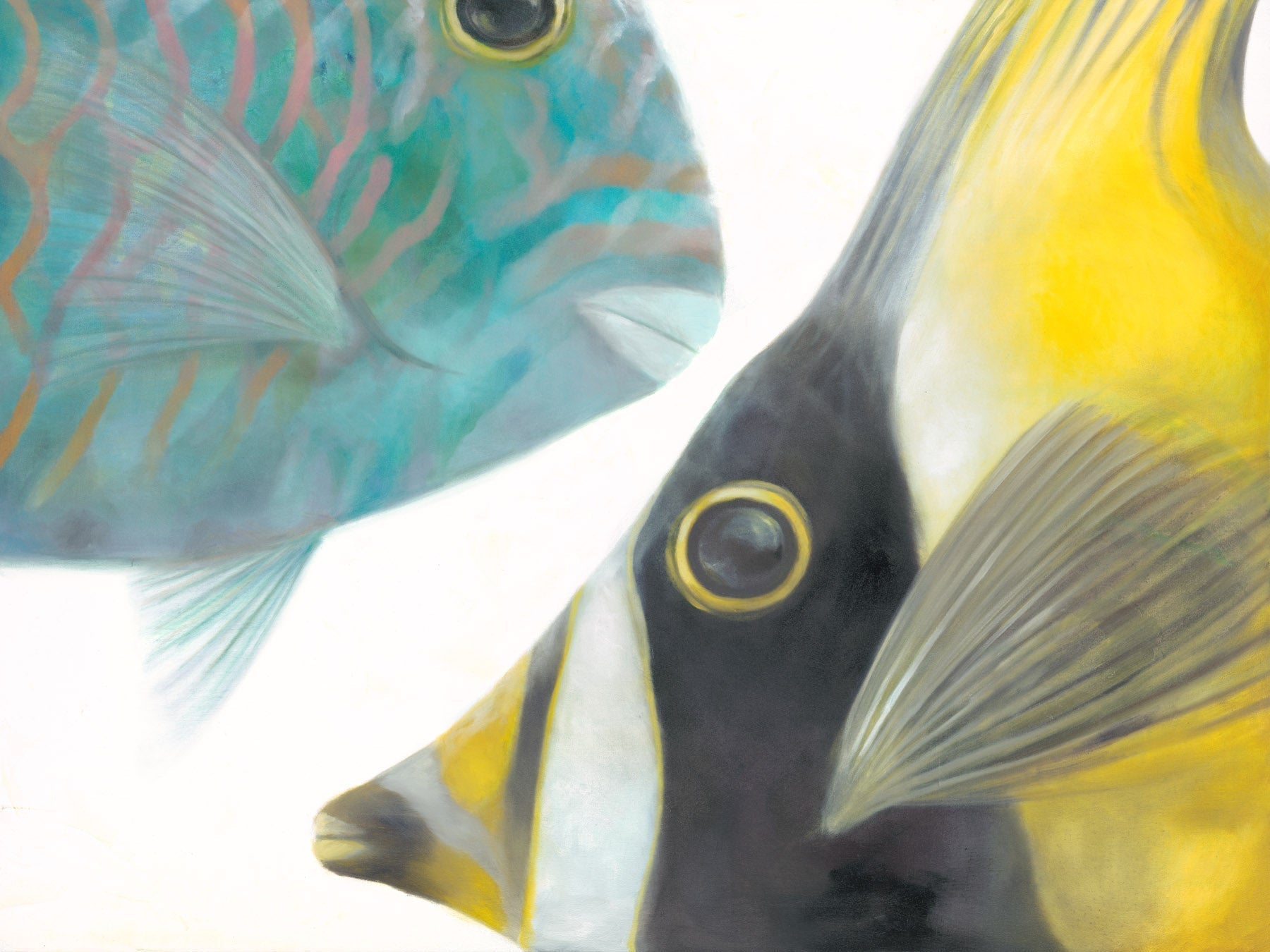 Hawaii Reef Fish Series for The Grand Wailea Resort | Maui ...